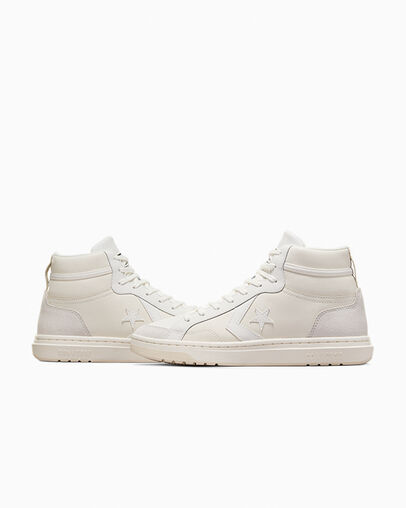 Pro Blaze Classic Leather & Suede